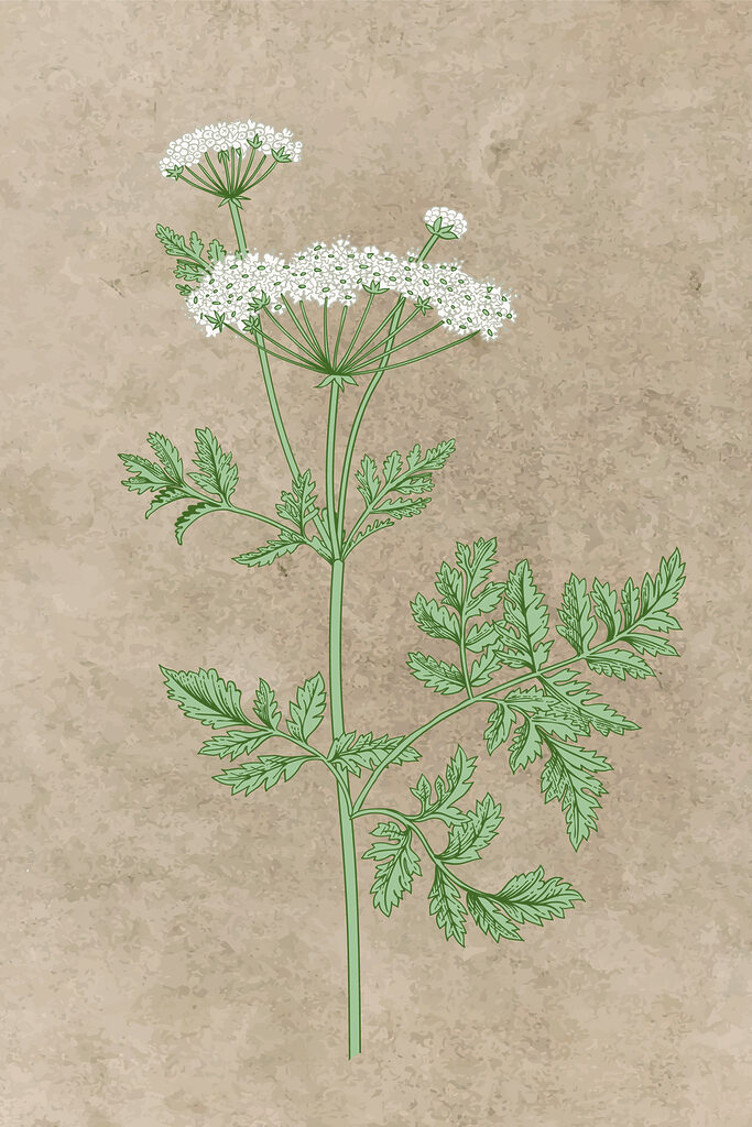 Tablouri Populare, Artă Murală, Decorațiuni pentru Casă - Tapeko